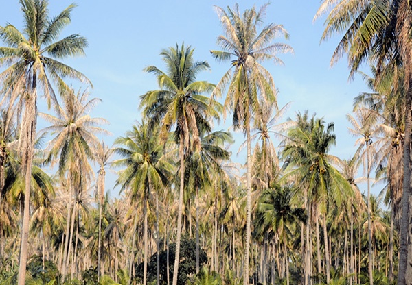 Unilife ใส่ใจชีวิตเกษตรกร